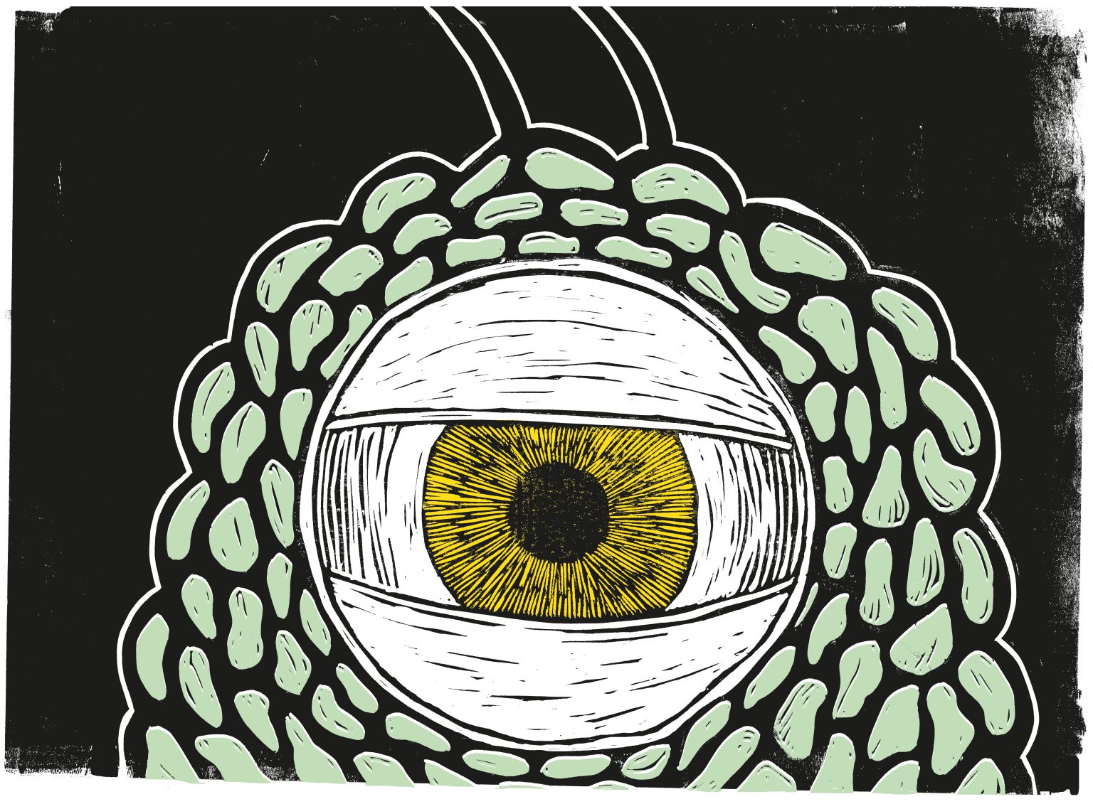 De Cycloop - Floor Rieder